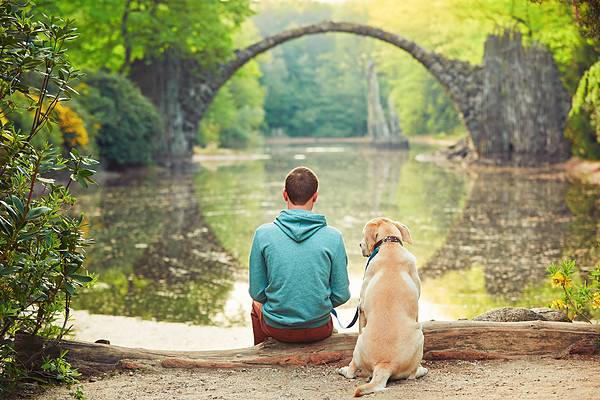 7 Crucial Tips for Socializing Your Dog with Other Dogs - A-Z Animals