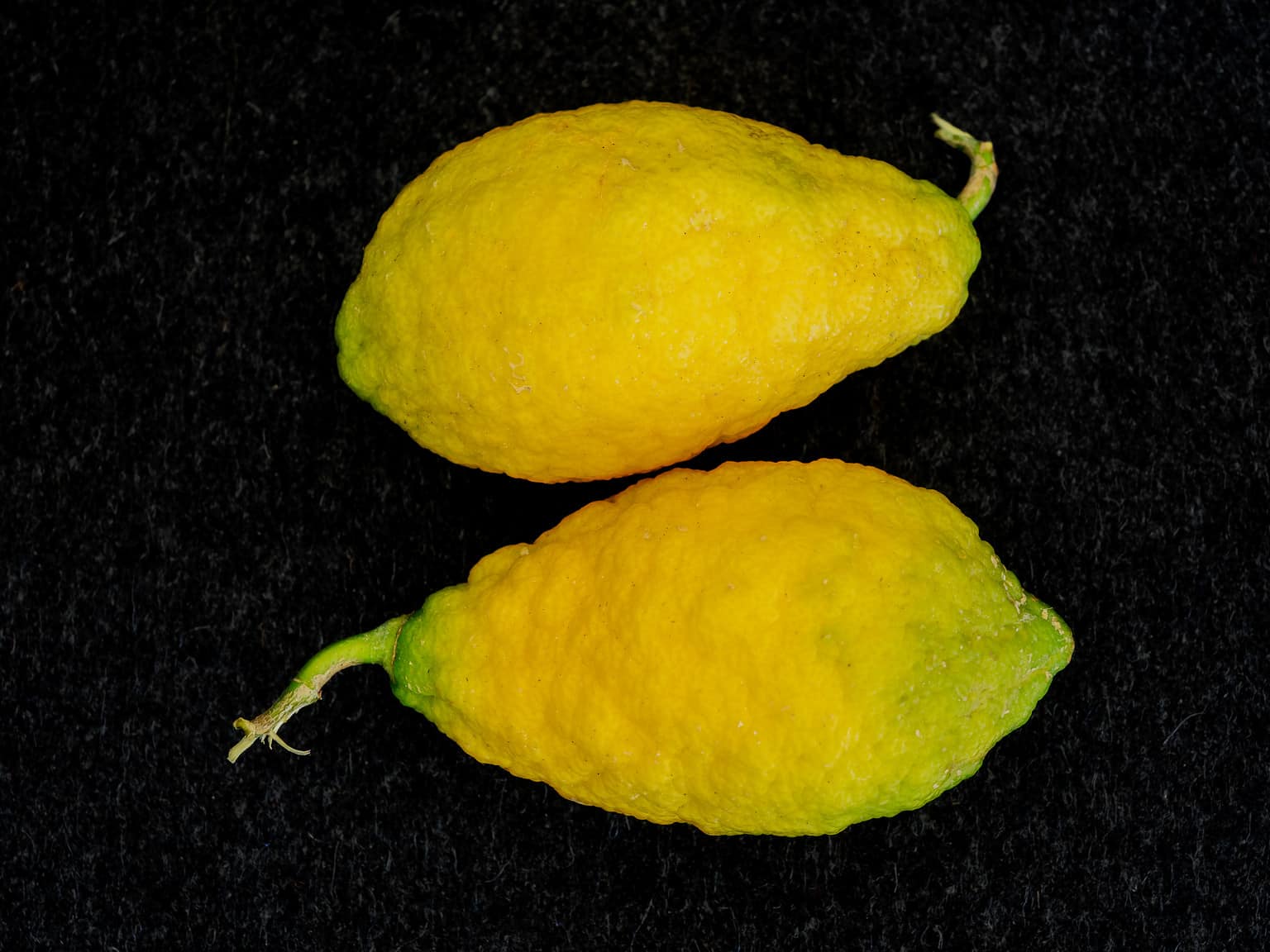 Discover the 20 Fruits That Start With Y - A-Z Animals