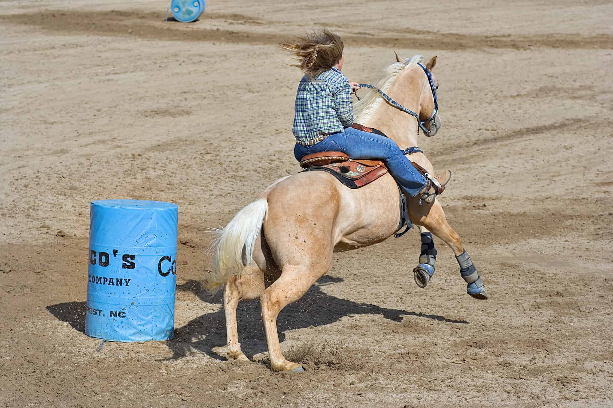 English vs. Western Riding: 8 Key Differences - A-Z Animals