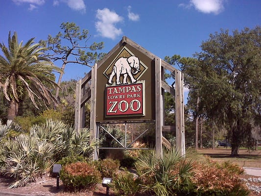 Discover 10 Amazing Zoos and Aquariums With Manatees - A-Z Animals