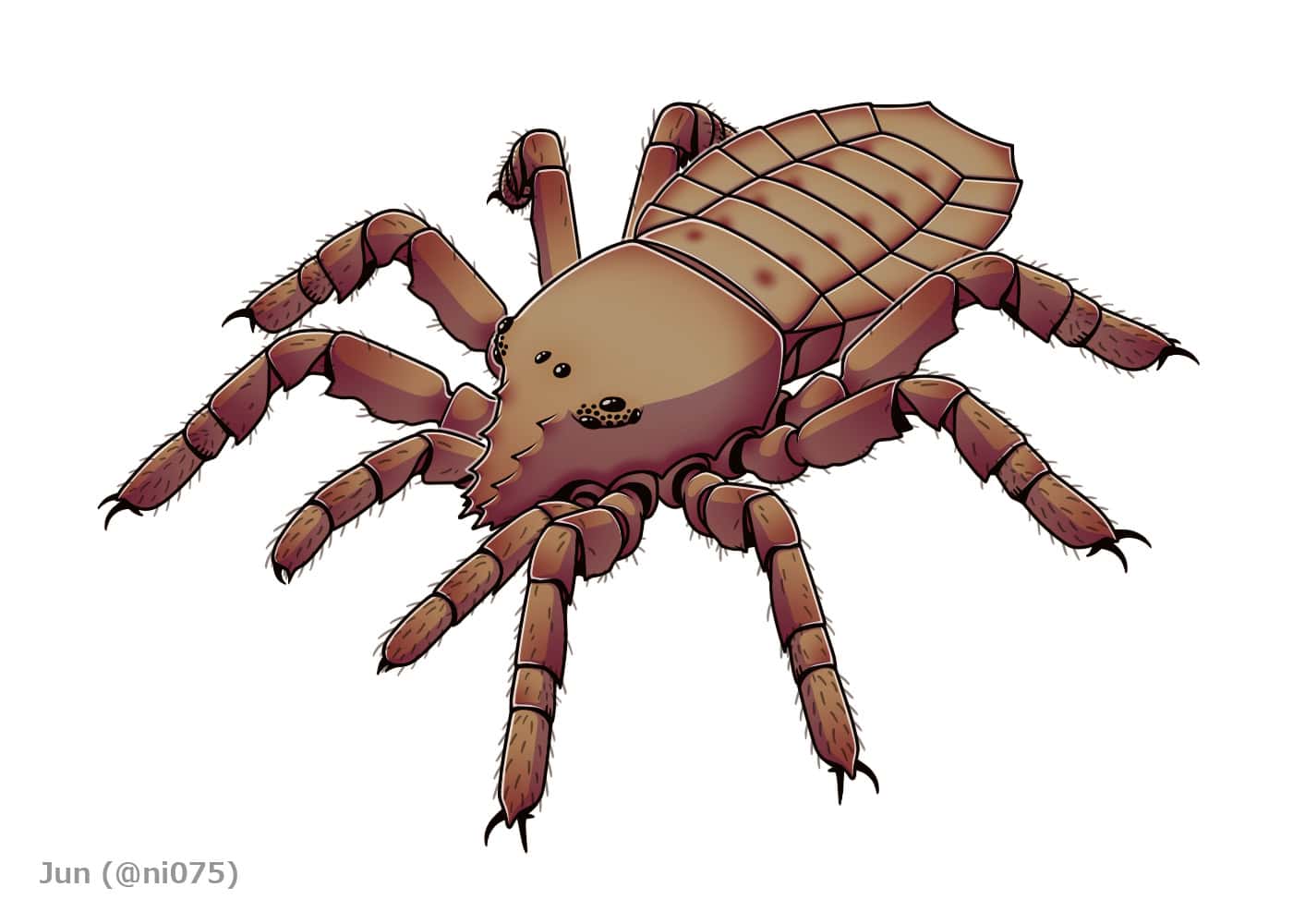 One Amazing Evolutionary Discovery and the First 7 Animals to Ever Walk ...