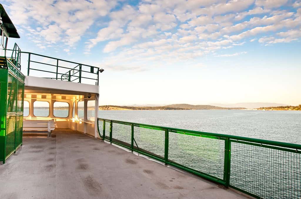 The Top 14 Best Places to See Orcas in Washington State - A-Z Animals