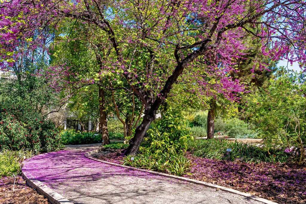 The 10 Oldest Botanical Gardens in the World (#1 Is Almost 500 Years ...