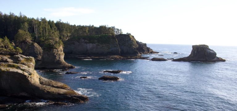 The Top 14 Best Places to See Orcas in Washington State - A-Z Animals