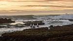 Discover the 7 Largest and Most Important Bays in California - A-Z Animals
