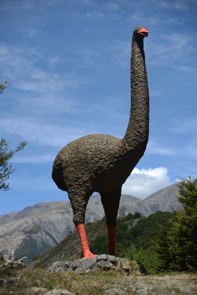 Humans Killed the Moa in 150 Years. Can a Biotech Firm Bring It Back ...