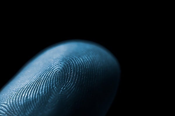 Animal Fingerprints Closest To Humans – FZPY