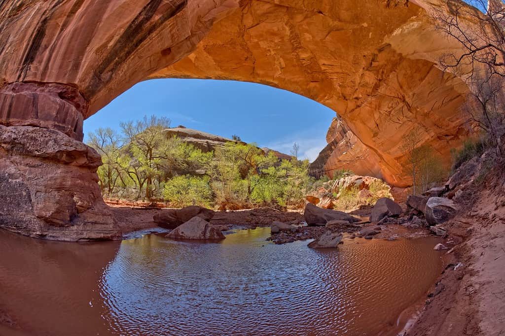 The 13 Most Iconic Natural Arches in the United States - A-Z Animals