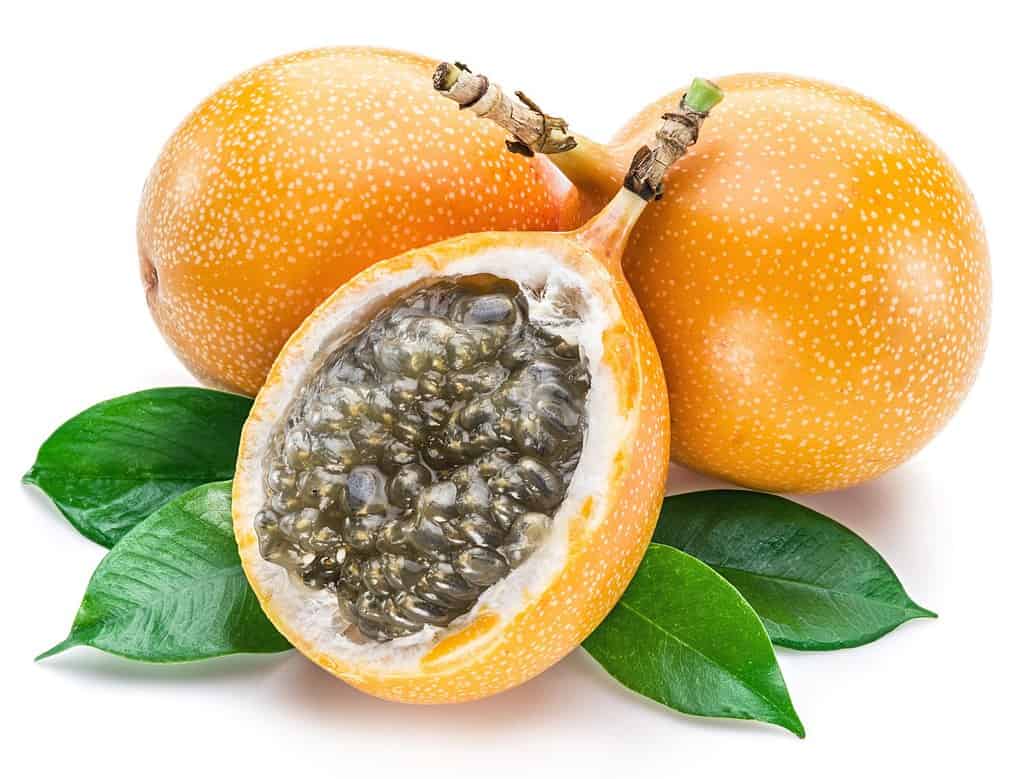 Discover the 19 Fruits That Start With B - A-Z Animals