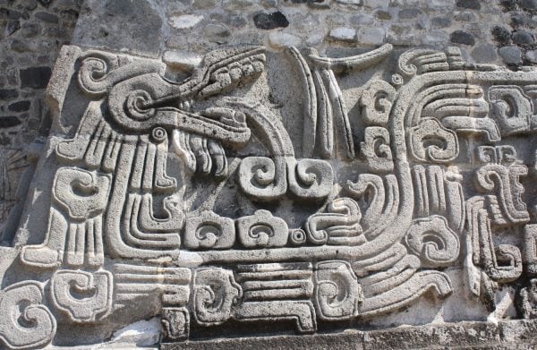 12 Common Animals in Folklore and Their Meanings - A-Z Animals