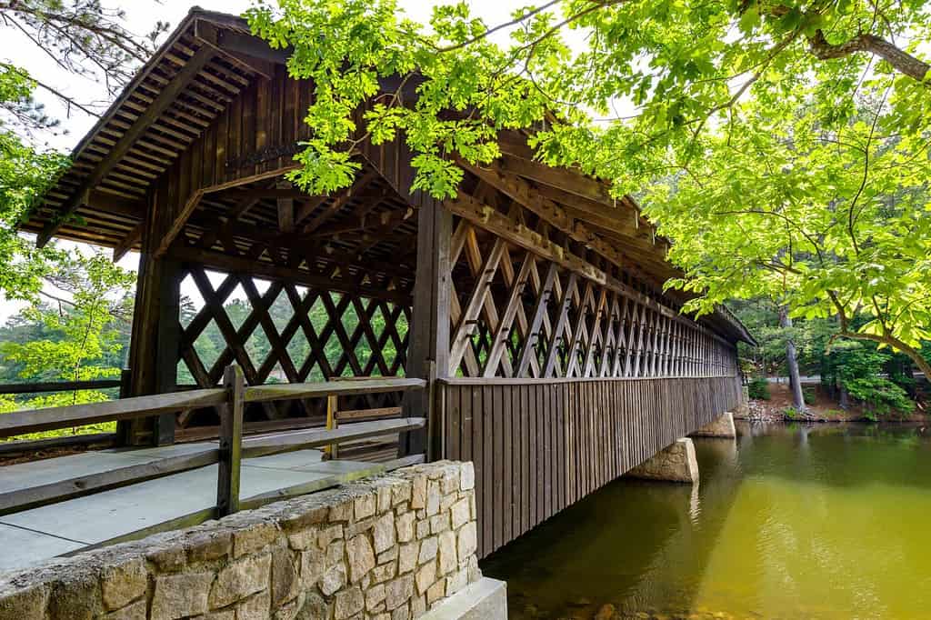 The 8 Best Places For a Photoshoot in Georgia - A-Z Animals
