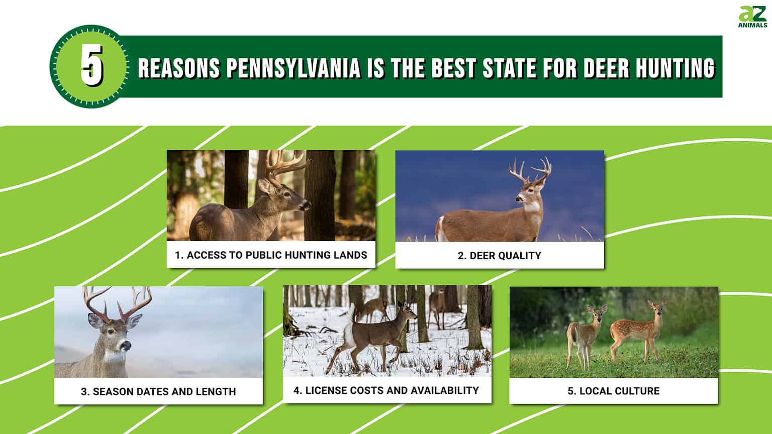 The Top 5 Reasons Pennsylvania Is the Best State for Deer Hunting - A-Z ...