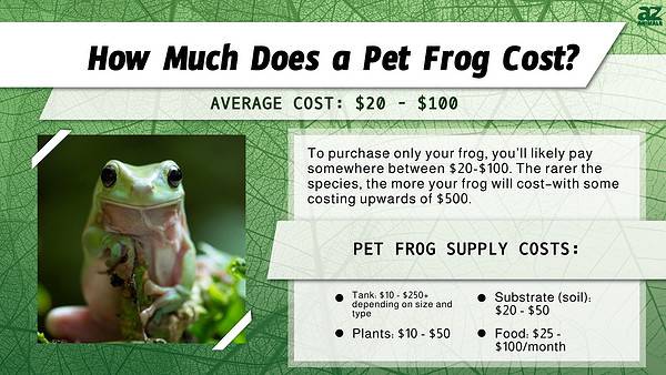 Pet Frog Prices 2024: Purchase Cost by Type, Supplies, Food, and More ...
