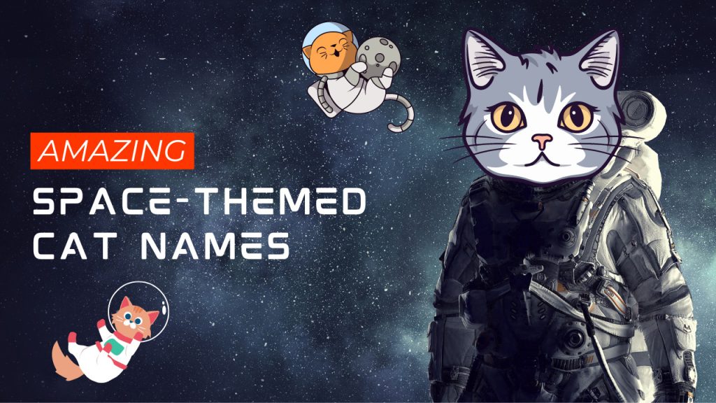 266 Amazing and Clever Space-Themed Cat Names - A-Z Animals