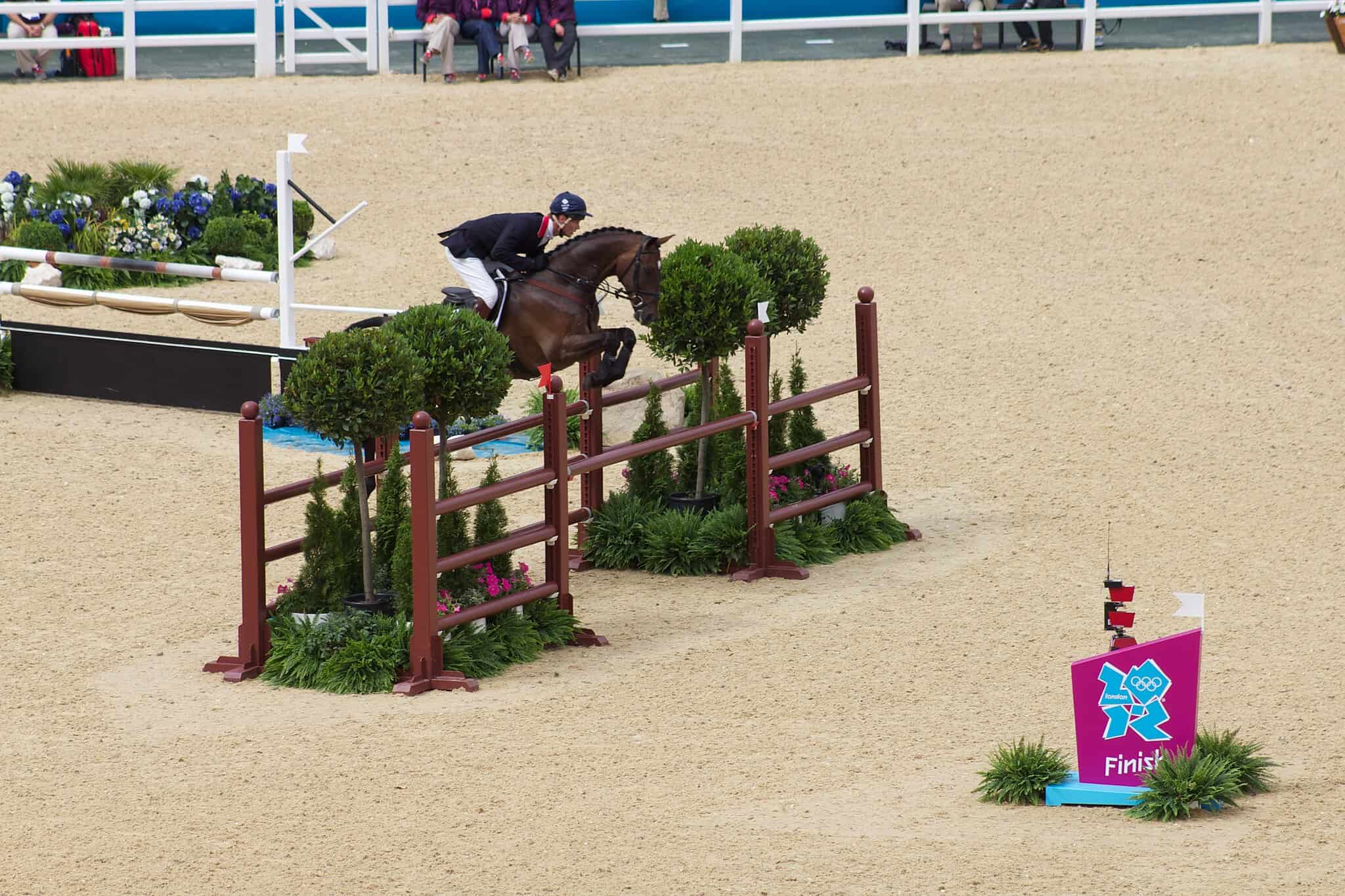 How Do Horses Get To The Olympics? - A-Z Animals