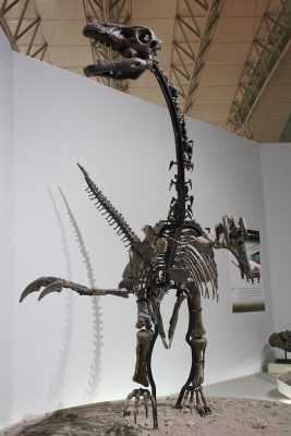 Discover the 40+ Dinosaurs That Start With E - A-Z Animals