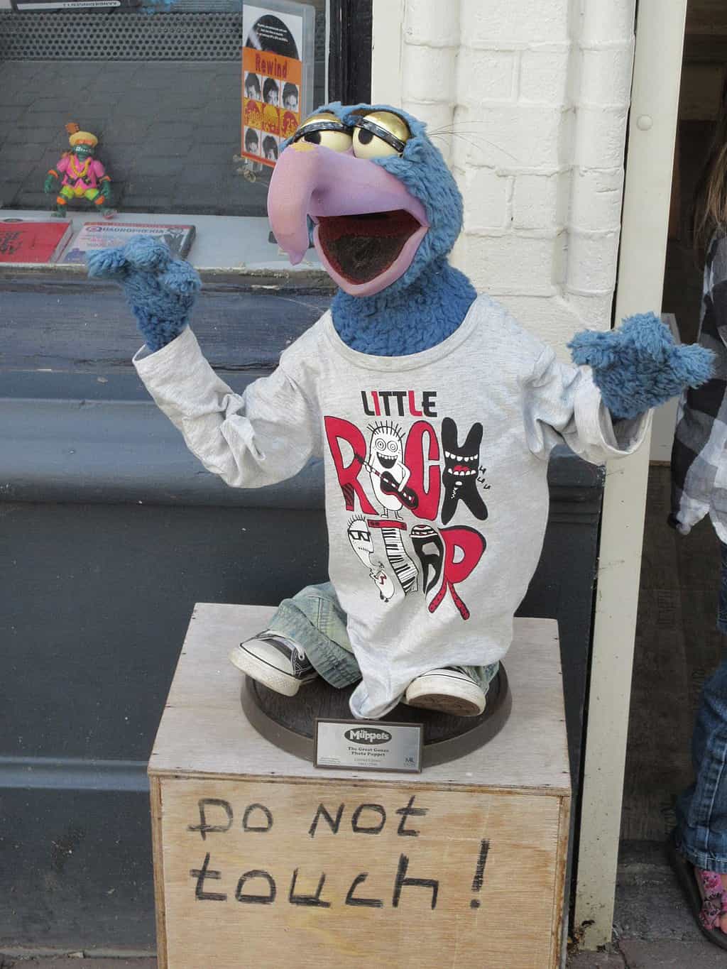Discover What Kind of Animal Gonzo Really Is - A-Z Animals