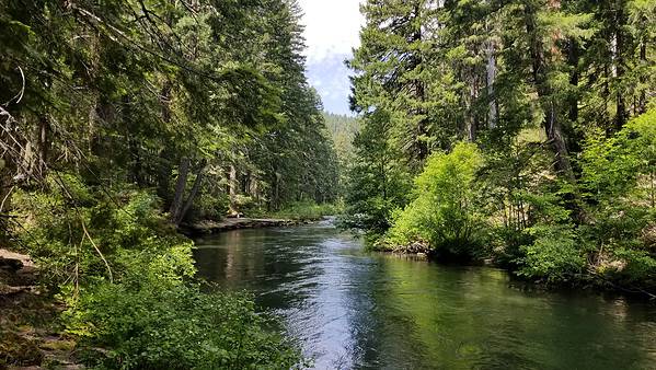 How Long Is Oregon's Picturesque Rogue River From Start to End? - A-Z ...