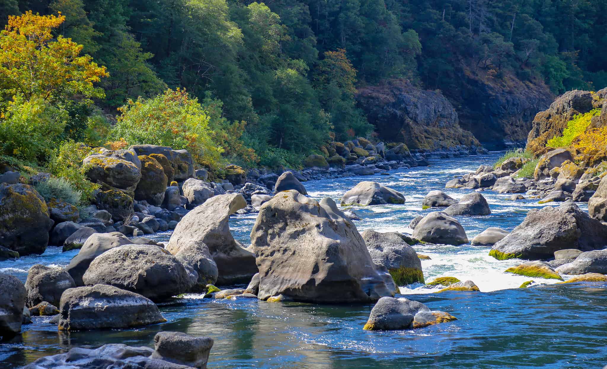 How Long Is Oregon's Picturesque Rogue River From Start to End? - A-Z ...