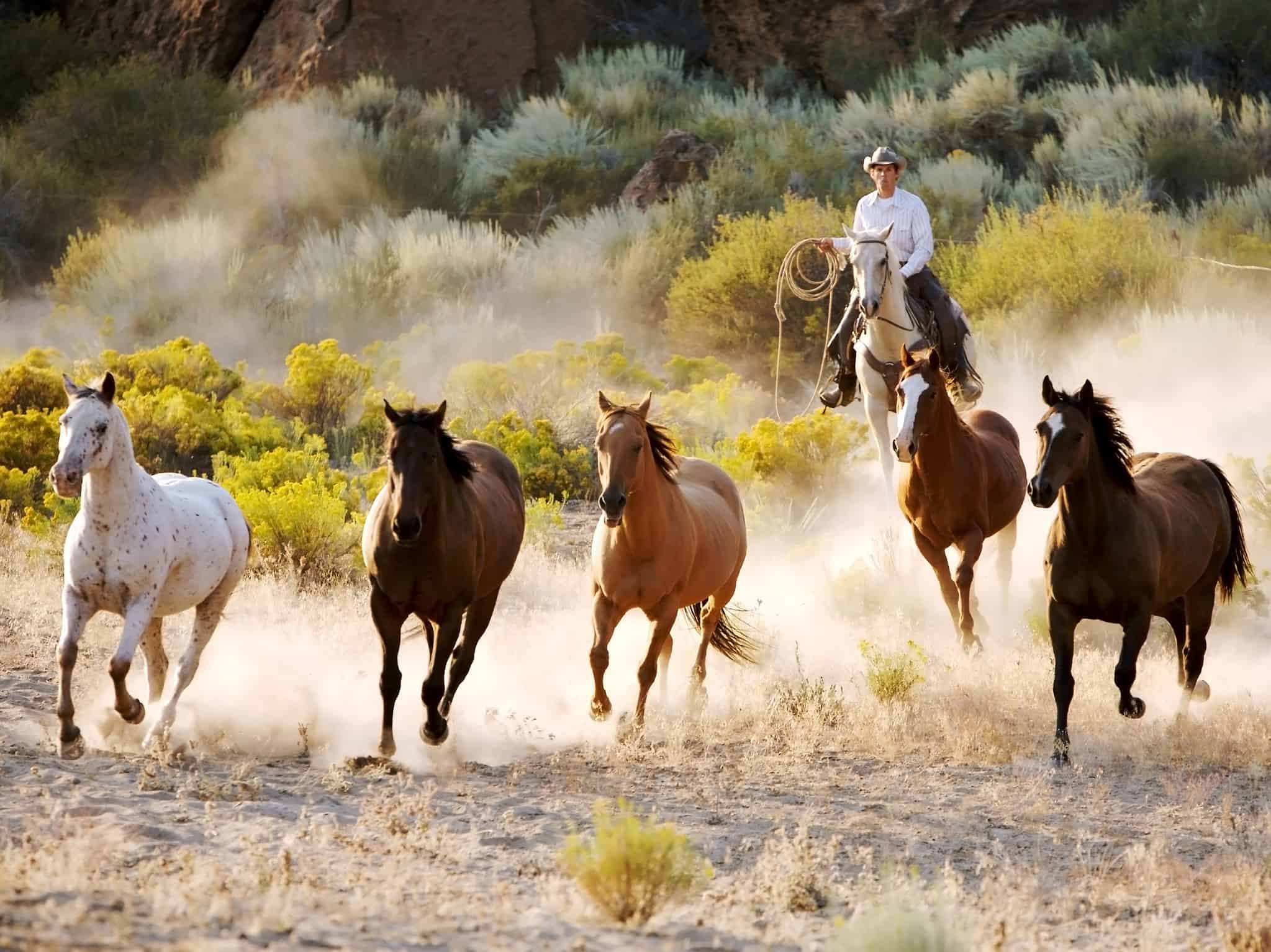 Will Oregon Vote to Ban Hunting and Fishing? - A-Z Animals
