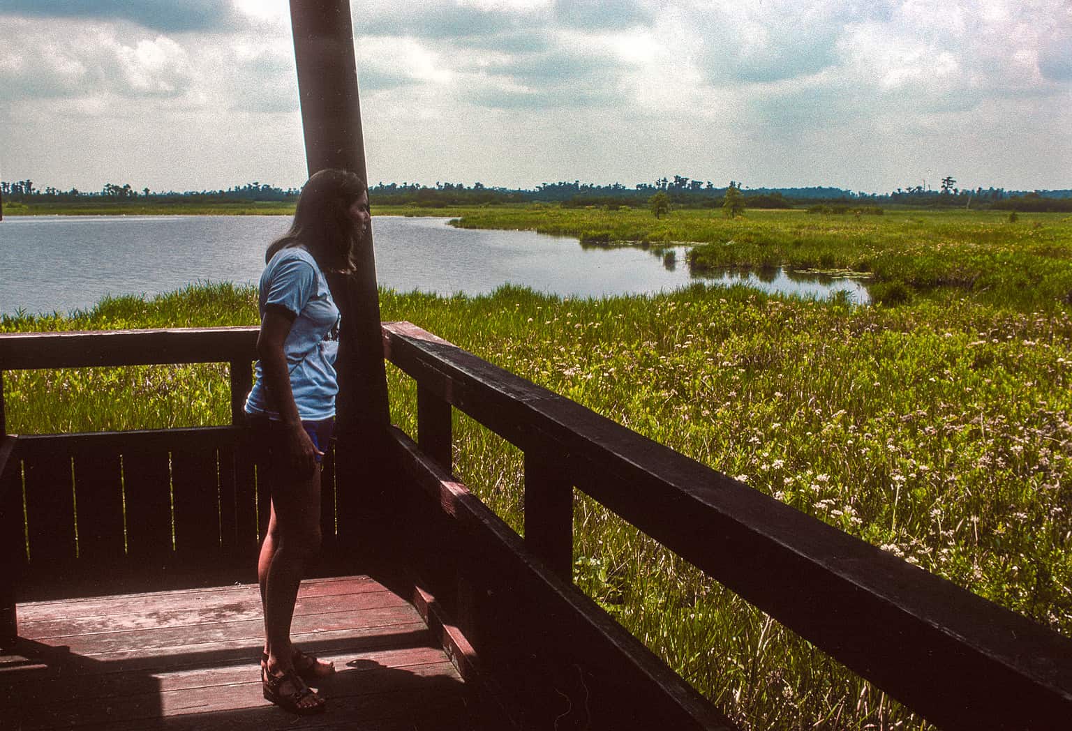 The Top 10 Best Places to See Wildlife in Georgia - A-Z Animals