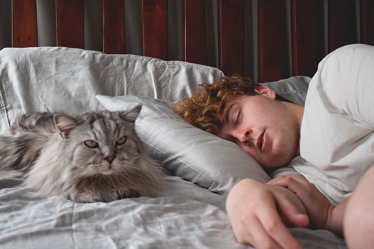 What Your House Cat Really Does While You’re Asleep, According to ...