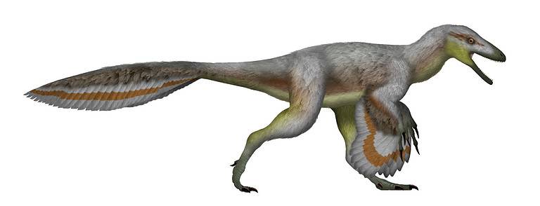 Discover the 27 Dinosaurs That Start With I - A-Z Animals