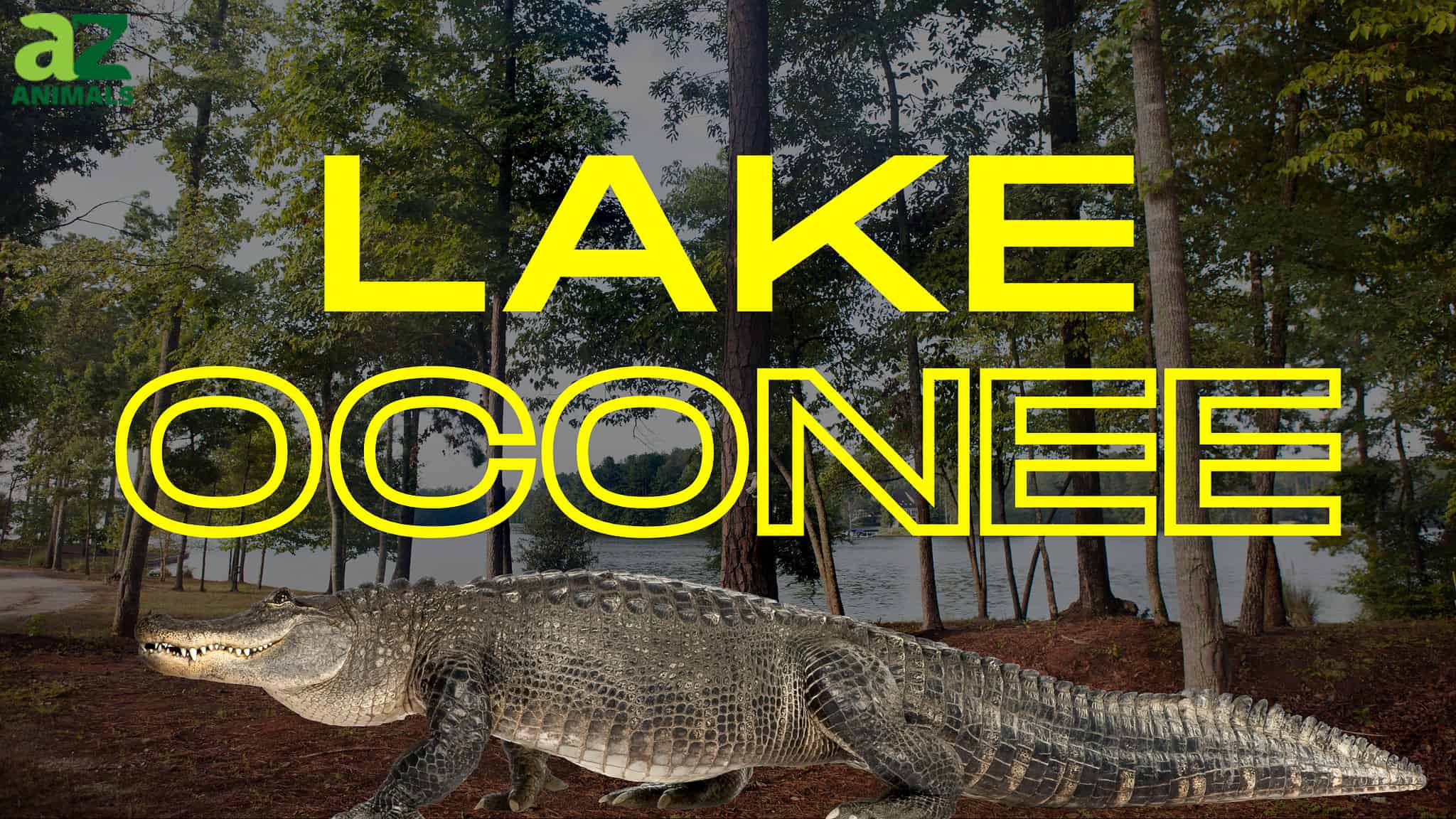Discover 6 Creatures Living in Lake Oconee... Are Any Dangerous? - A-Z ...