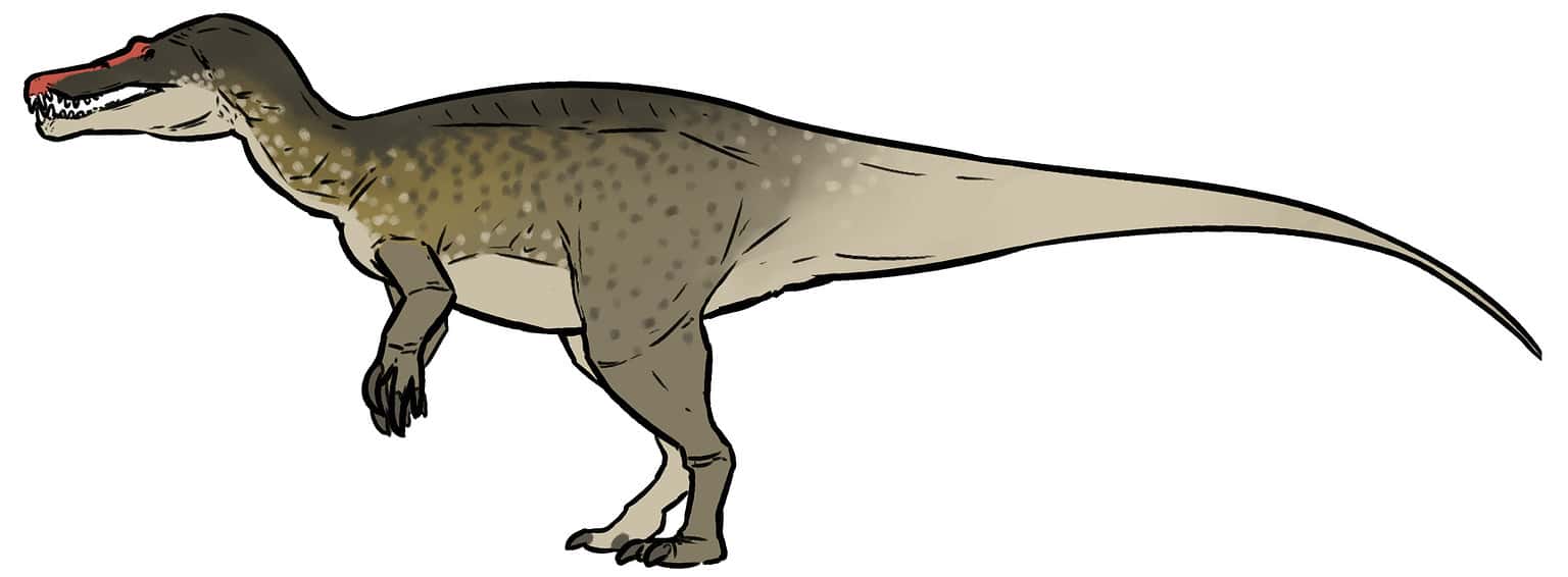 Discover the 27 Dinosaurs That Start With I - A-Z Animals