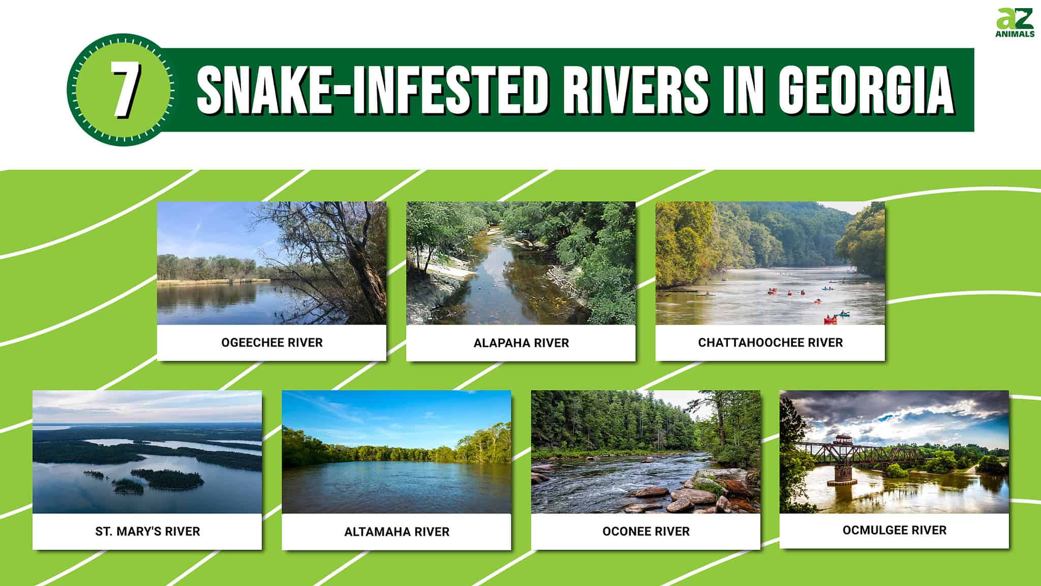 The Most Snake-Infested Rivers in Georgia - A-Z Animals