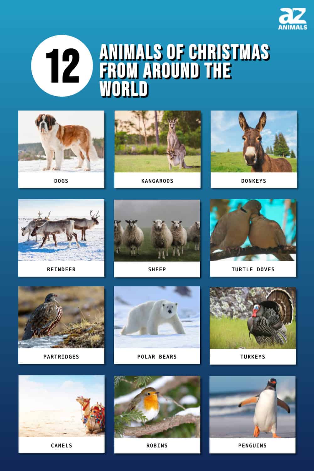 The 12 Animals of Christmas From Around the World - A-Z Animals