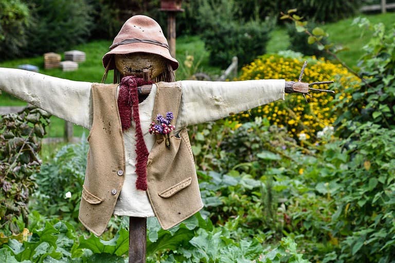 Do Scarecrows Work? How to Protect Your Garden From Hungry Birds and ...