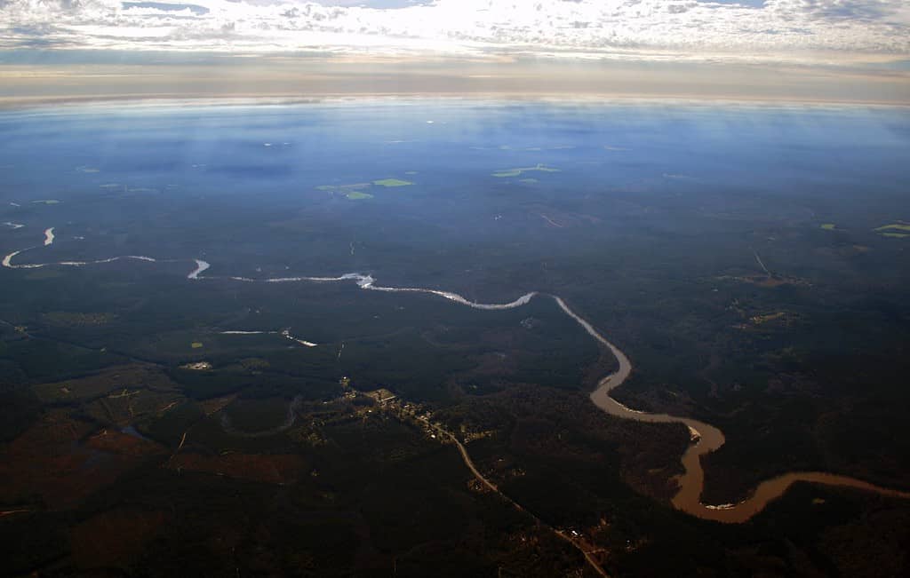 The Top 5 Most Alligator-Infested Rivers In Alabama - A-Z Animals