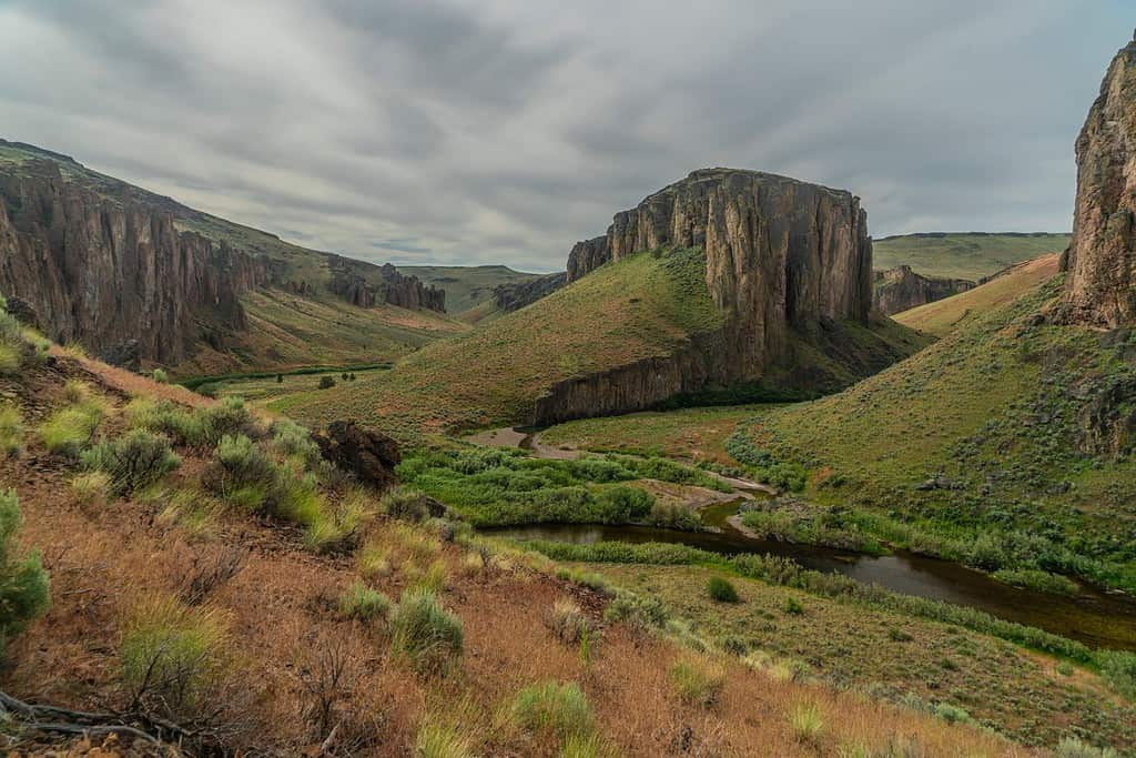 Discover the 12 Longest Rivers in Oregon - A-Z Animals