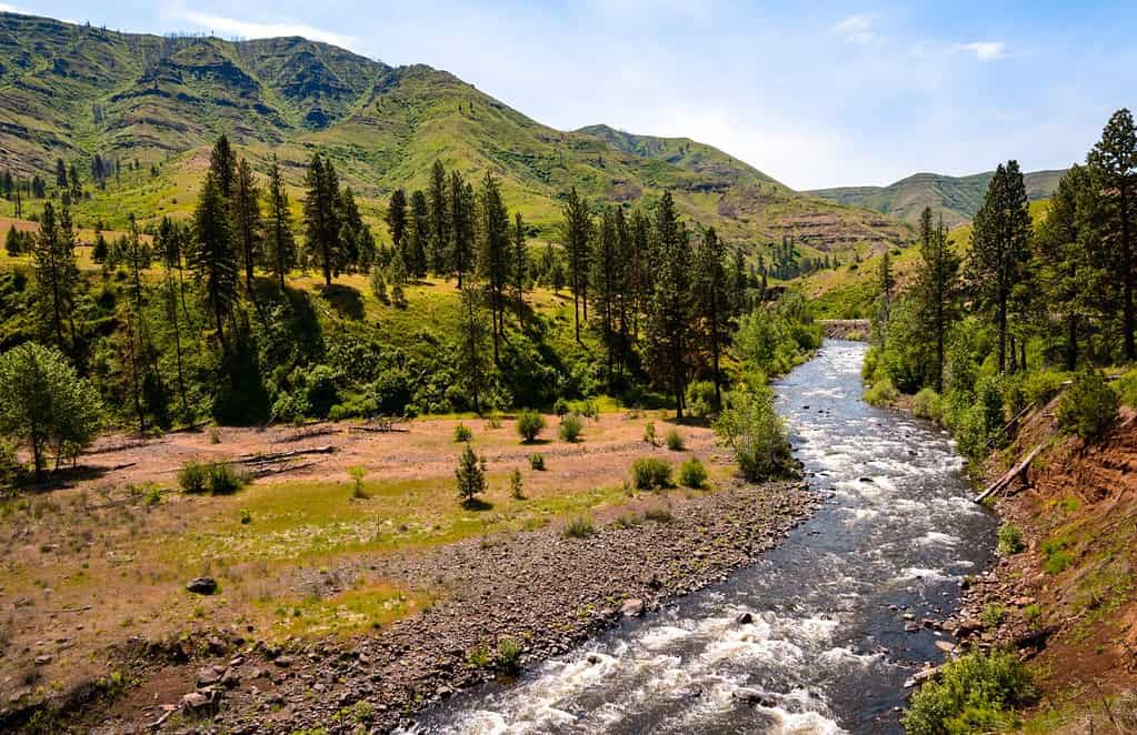 Discover the 12 Longest Rivers in Oregon - A-Z Animals
