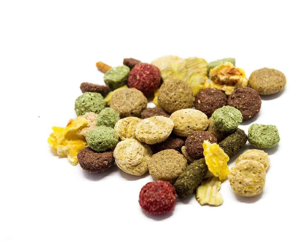 The Best (And Worst) Food for Hamsters - A-Z Animals Slideshows