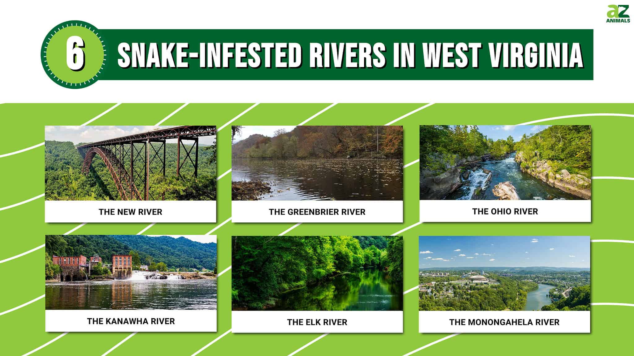 The Most Snake-Infested Rivers in West Virginia