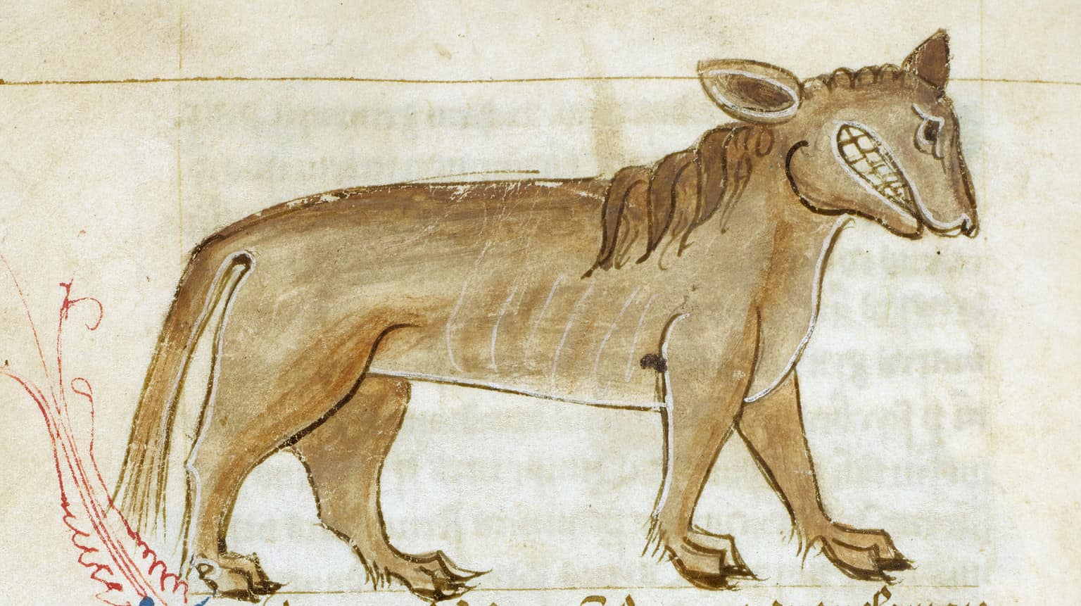 The 7 Most Legendary Texas Cryptids: Appearance, Behavior, and Location ...