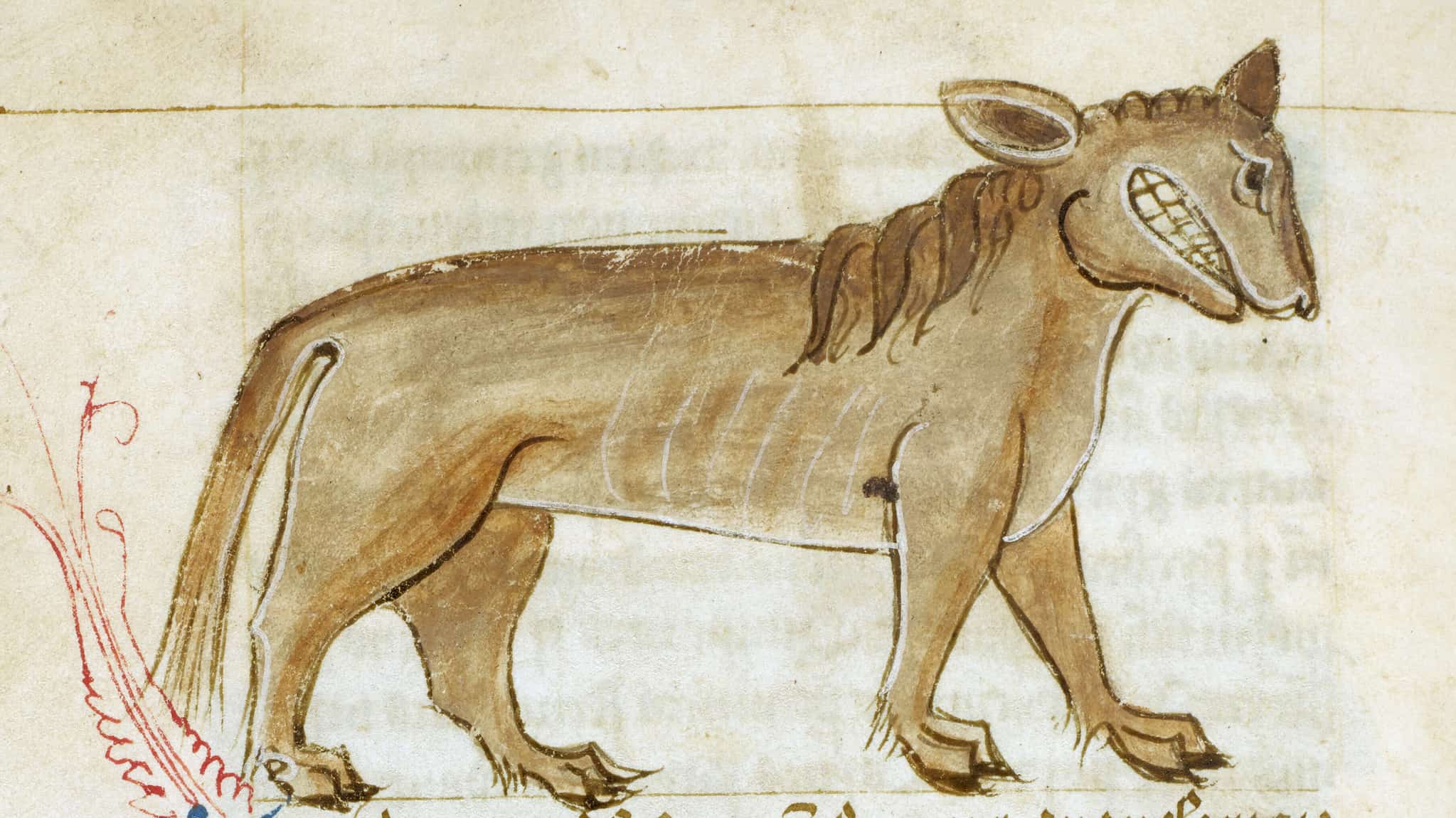 The 7 Most Legendary Texas Cryptids: Appearance, Behavior, and Location ...