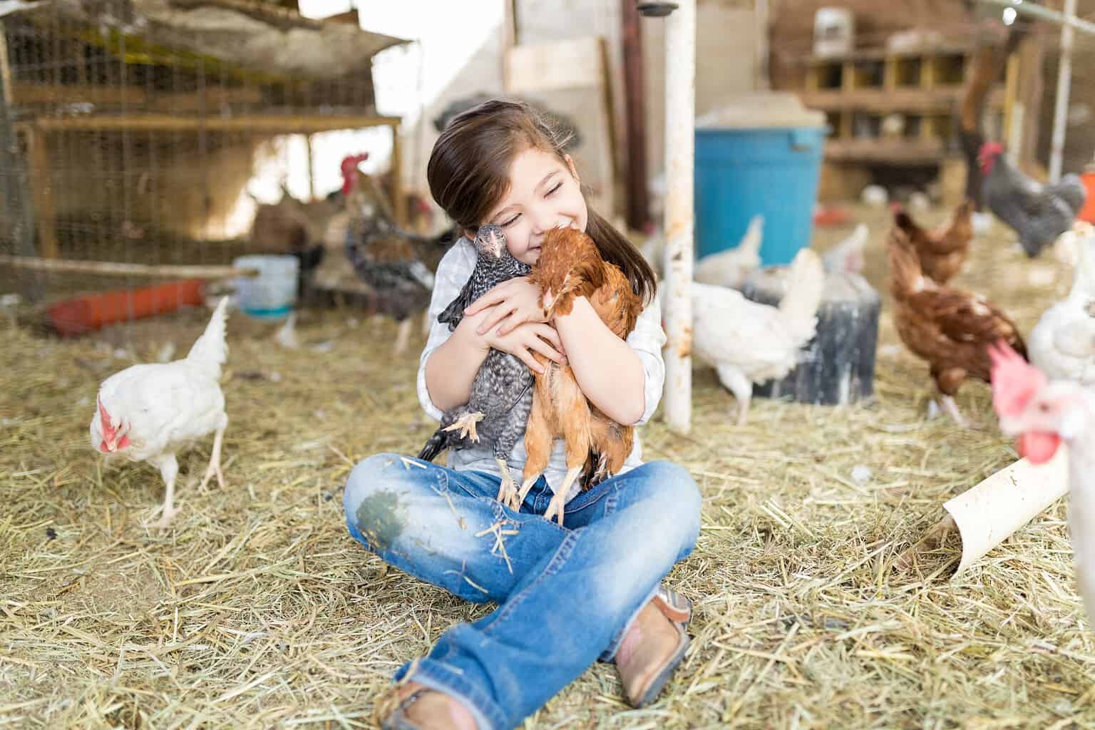 Everything You Need to Know Before Jumping on the Pet Chicken Train - A ...