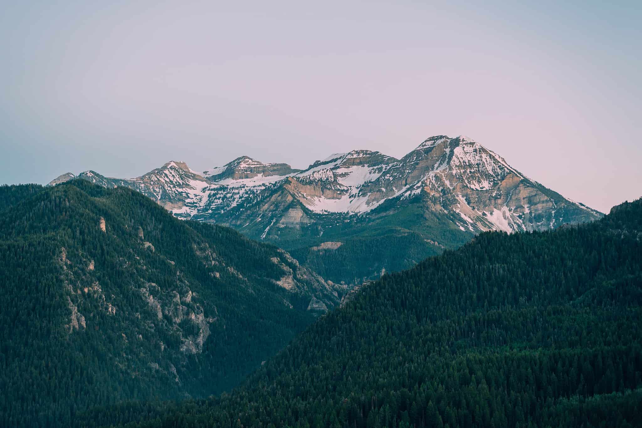 7 Places You're Most Likely to Encounter a Bear in Utah This Winter - A ...