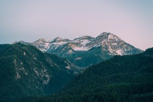 7 Places You're Most Likely to Encounter a Bear in Utah This Winter - A ...
