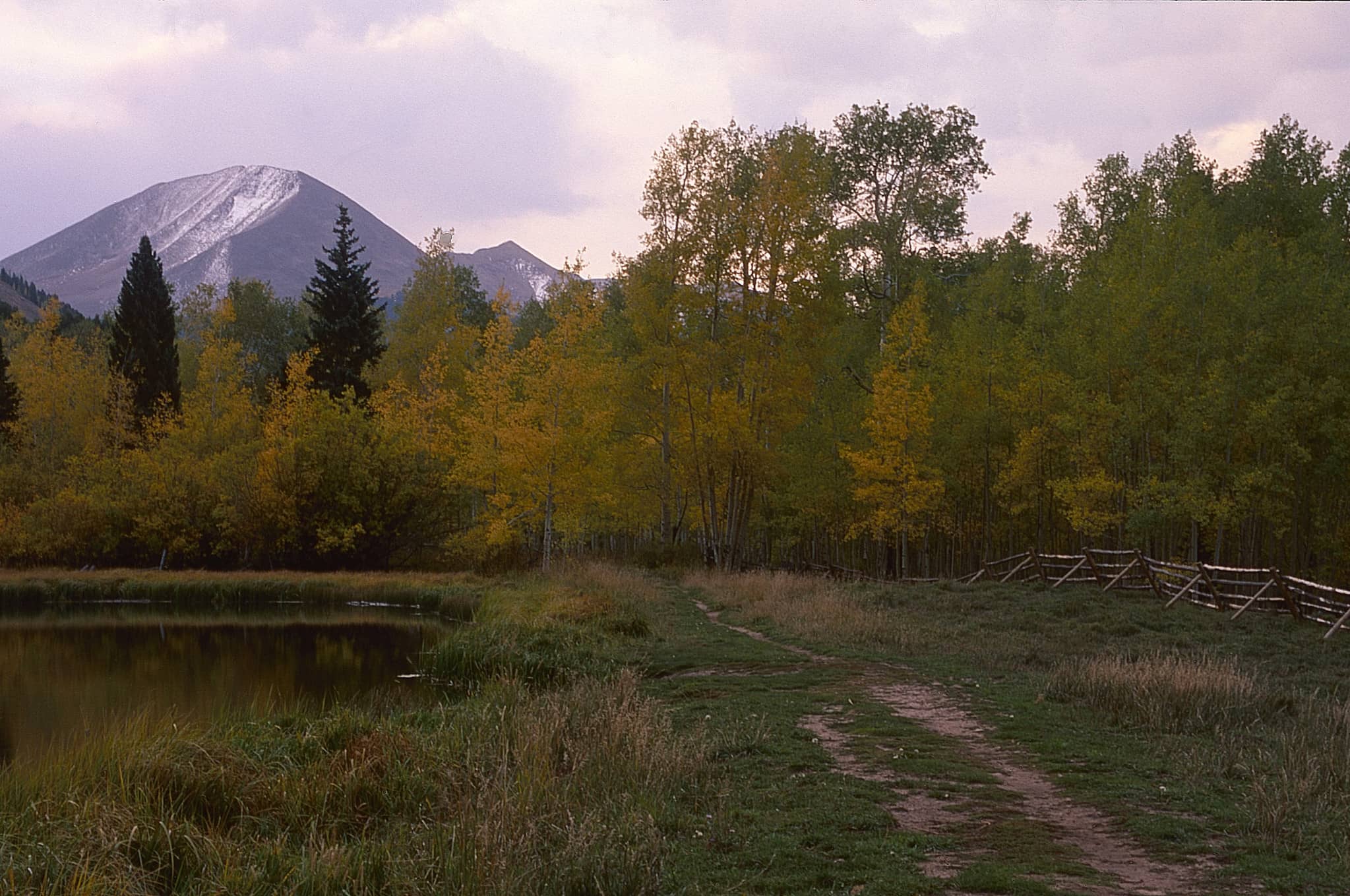 7 Places You're Most Likely to Encounter a Bear in Utah This Winter - A ...