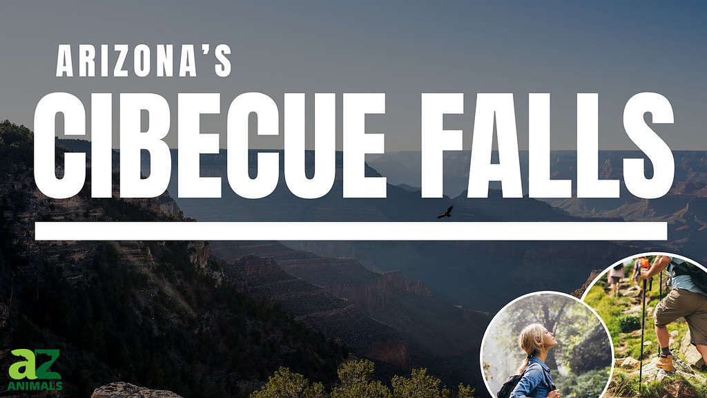 Discover Cibecue Falls - One of Arizona's Most Breathtaking Landmarks ...