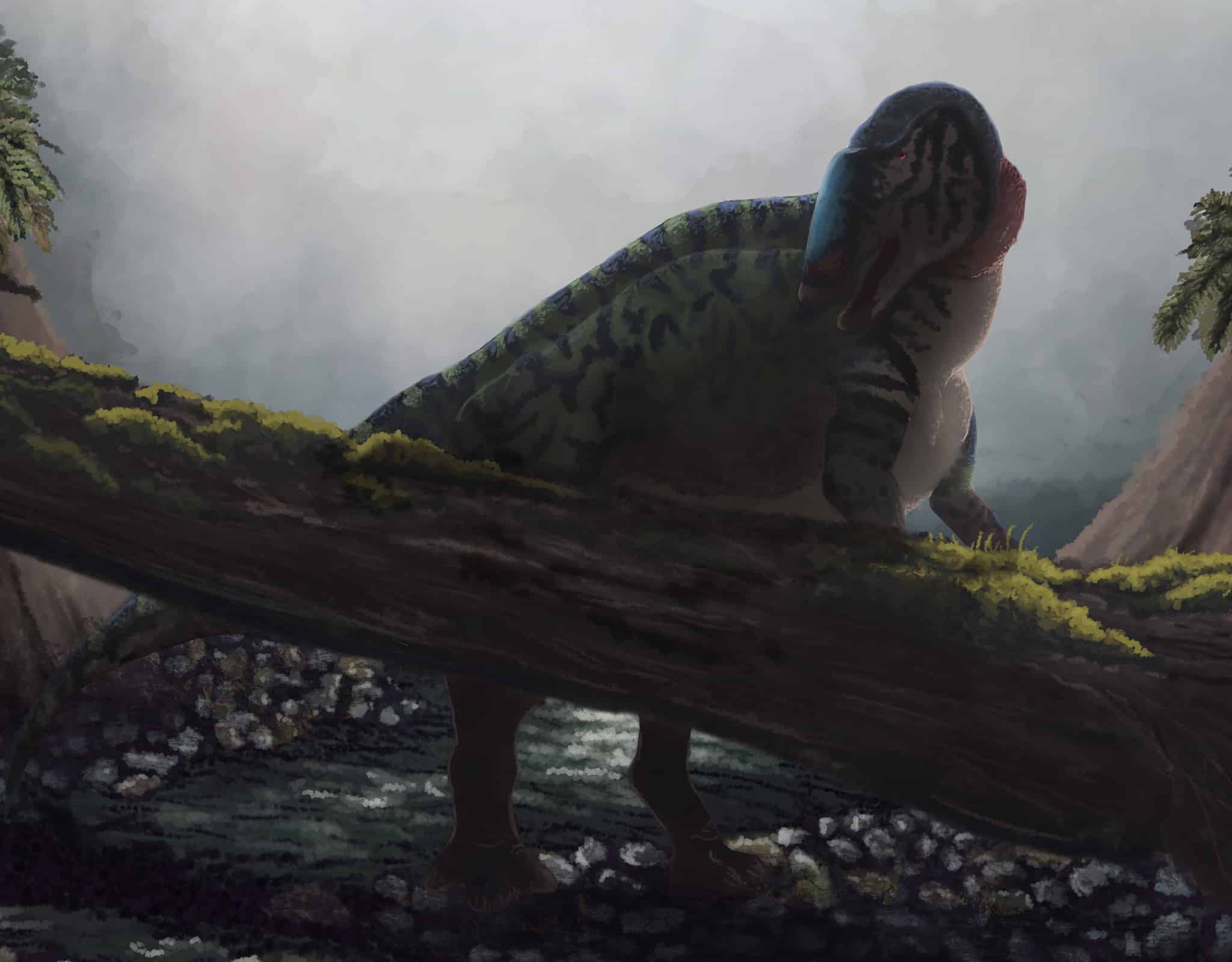 37 Dinosaurs That Start With K - A-Z Animals