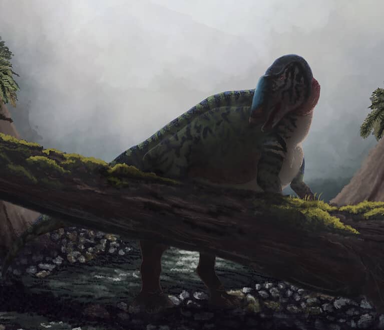 37 Dinosaurs That Start With K - A-Z Animals