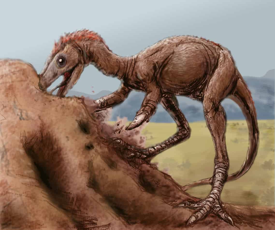 37 Dinosaurs That Start With K - A-Z Animals