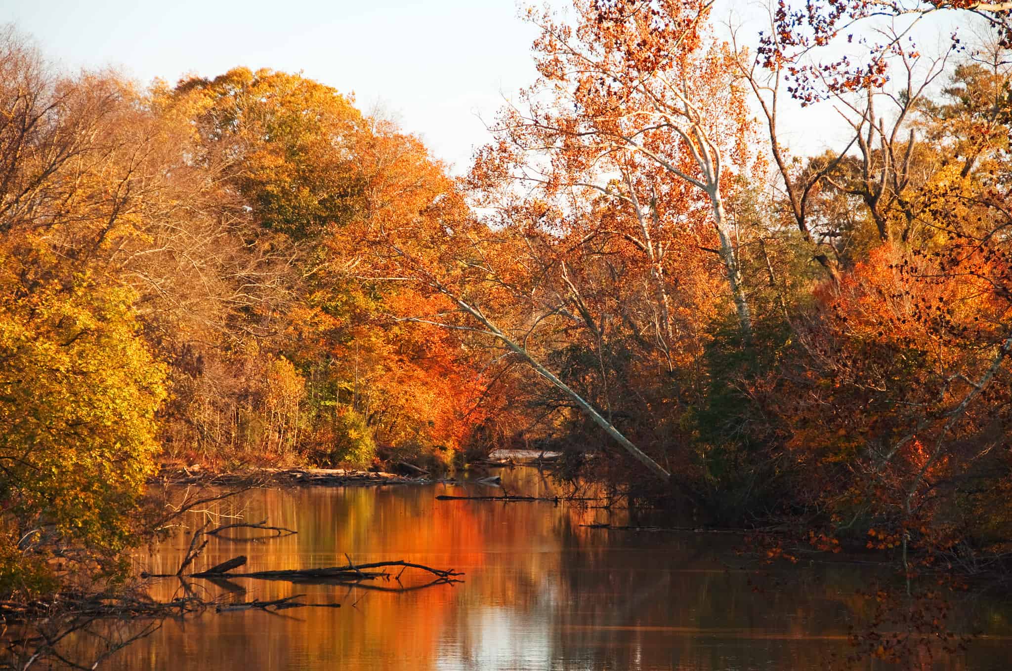 How Deep Is North Carolina's Legendary Neuse River? - A-Z Animals
