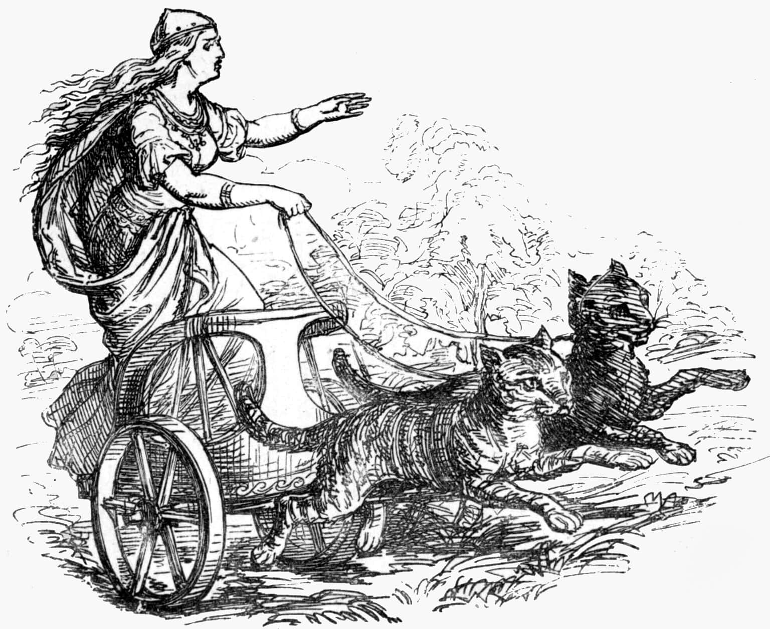 11 Animals Associated with Norse Mythology - A-Z Animals