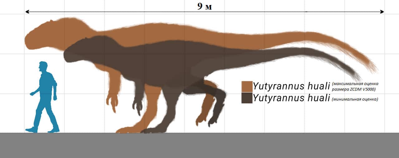 Discover 8 Dinosaurs That Start With Y - A-Z Animals